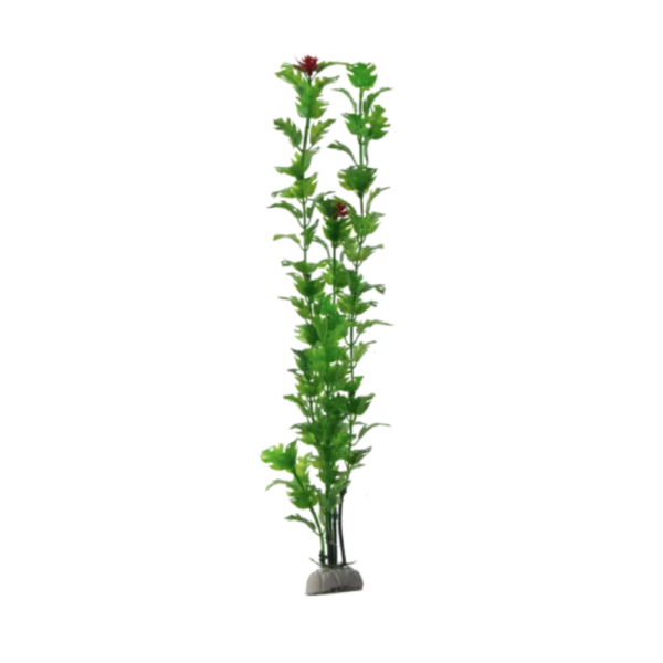 ΠΛΑΣΤΙΚΟ ΦΥΤΟ ΕΝΥΔΡΕΙΟΥ NOBLEZA 33119 PLASTIC PLANT 40cm ΠΡΑΣΙΝΟ ...